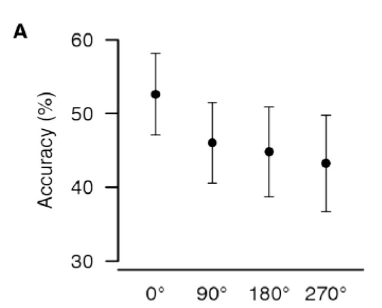 Searching for Memory in the EEG - Sapien Labs | Shaping the Future of ...
