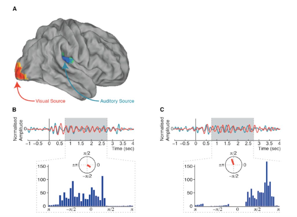 Searching for Memory in the EEG - Sapien Labs | Shaping the Future of ...
