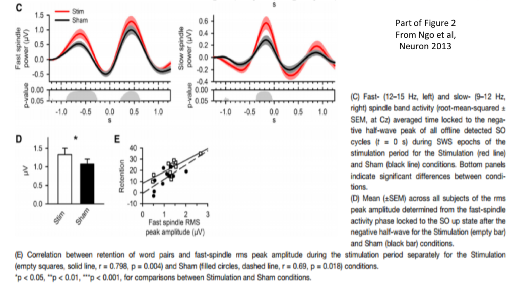 Neurotech for Sleep - Sapien Labs | Shaping the Future of Mind Health