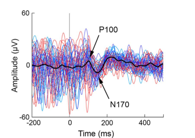 How Consistent Are You? Stimulus Quenching in the EEG - Sapien Labs ...