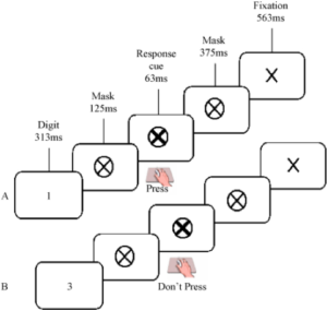 Many Ways to Measure Attention - Sapien Labs | Shaping the Future of ...