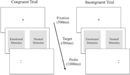 Many Ways to Measure Attention - Sapien Labs | Shaping the Future of ...