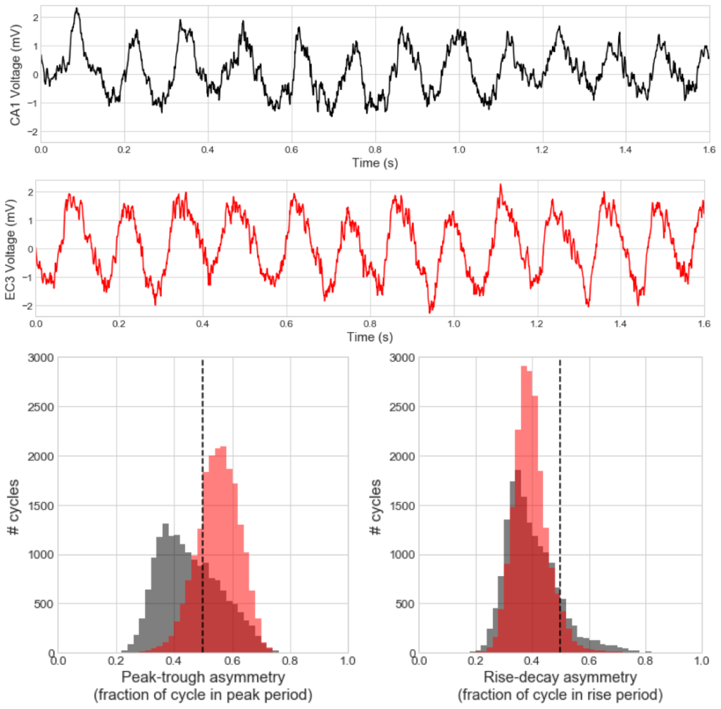 Non Sinusoidal and Non Stationary Properties of Neural Signals - Sapien ...