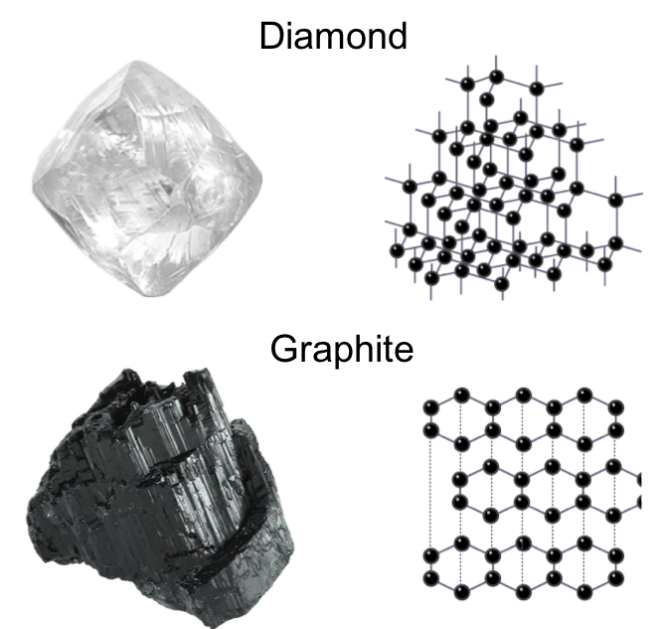 From Neuron to Brain: The Perils of a Reductionist Approach - Sapien ...