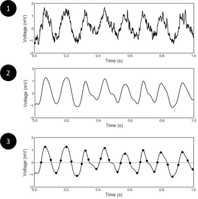 Non Sinusoidal and Non Stationary Properties of Neural Signals - Sapien ...