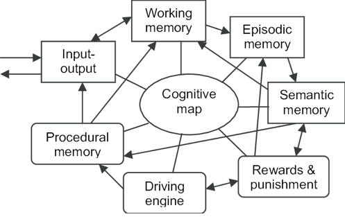 Building The Brain With Modules - Sapien Labs | Shaping the Future of ...