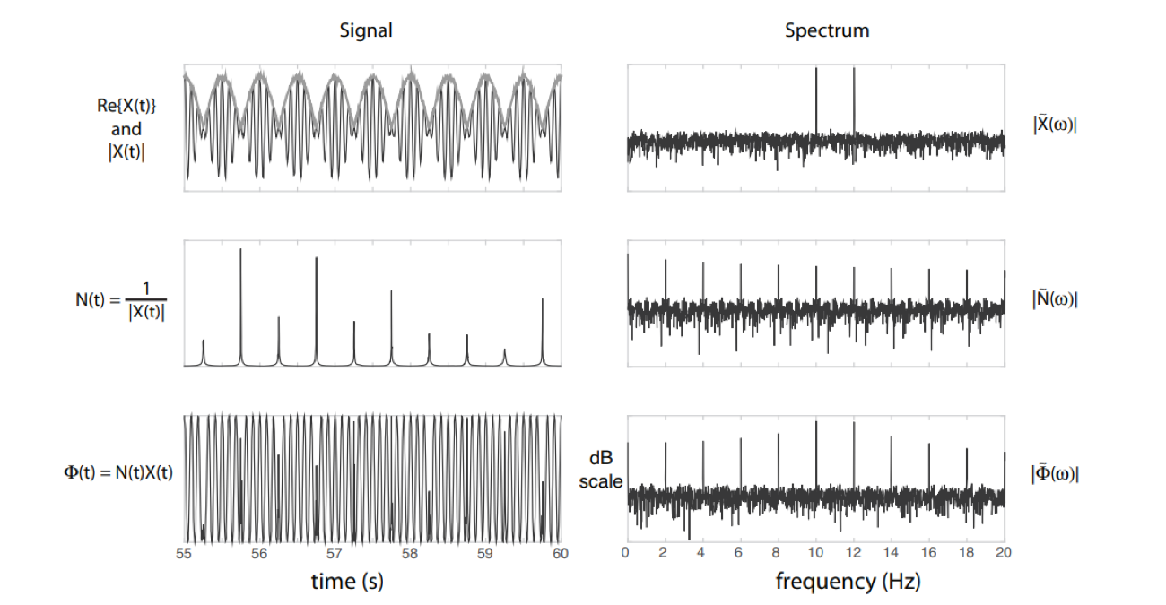 Assessing Connectivity with Phase Locking Value - Sapien Labs | Shaping ...