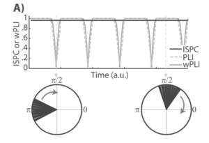 EEG Connectivity Using Phase Lag Index - Sapien Labs | Shaping the Future of Mind Health