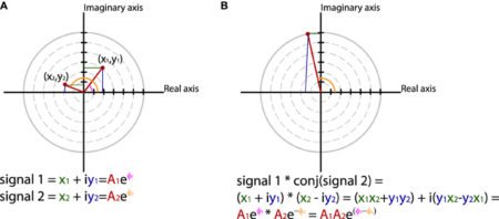 EEG Connectivity Using Phase Lag Index - Sapien Labs | Shaping the ...