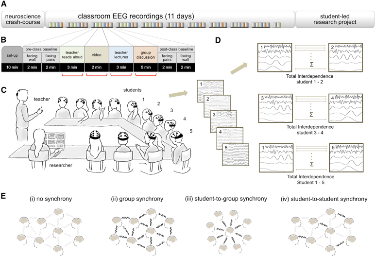 Social Synchronization in the EEG - Sapien Labs | Shaping the Future of ...