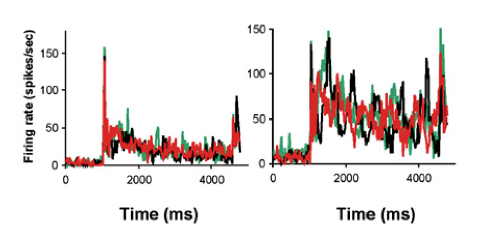 Finding an Alternative to Connectionism - Sapien Labs | Shaping the ...
