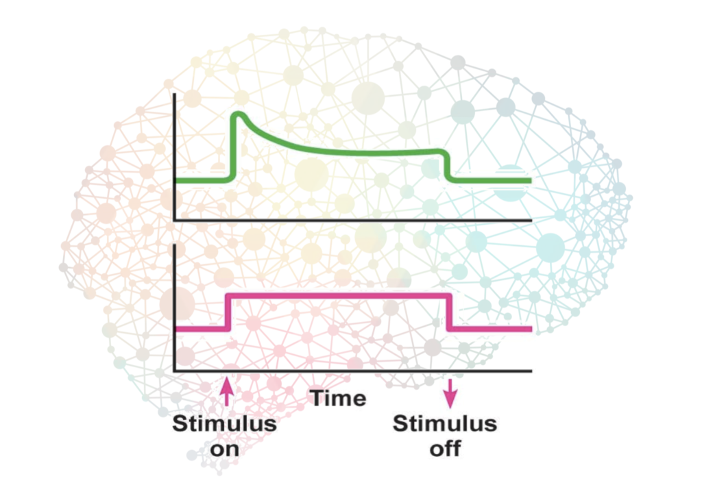 Finding an Alternative to Connectionism - Sapien Labs | Shaping the ...