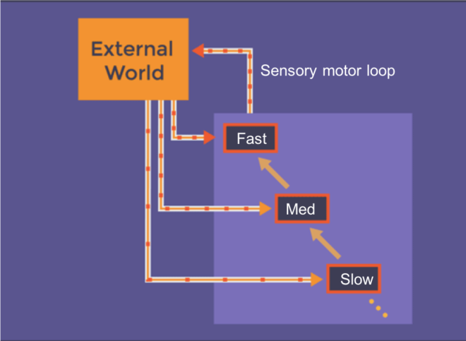 Can Neurons Learn to Adapt? - Sapien Labs | Shaping the Future of Mind ...