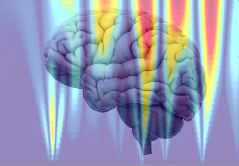 Applications of Wavelets in EEG - Sapien Labs | Shaping the Future of ...