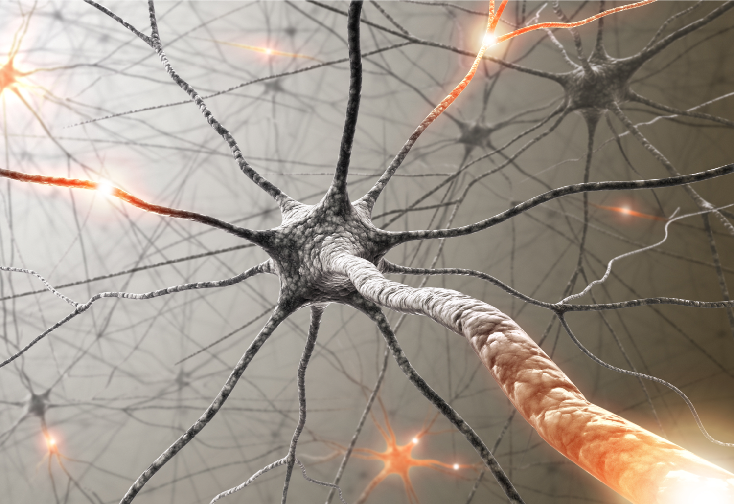 Designing Experiments to Uncover Neuron Intelligence - Sapien Labs ...