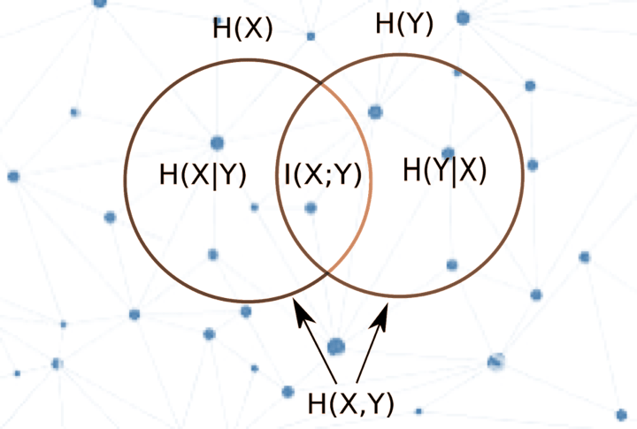 Applying Transfer Entropy to the EEG - Sapien Labs | Shaping the Future of Mind Health