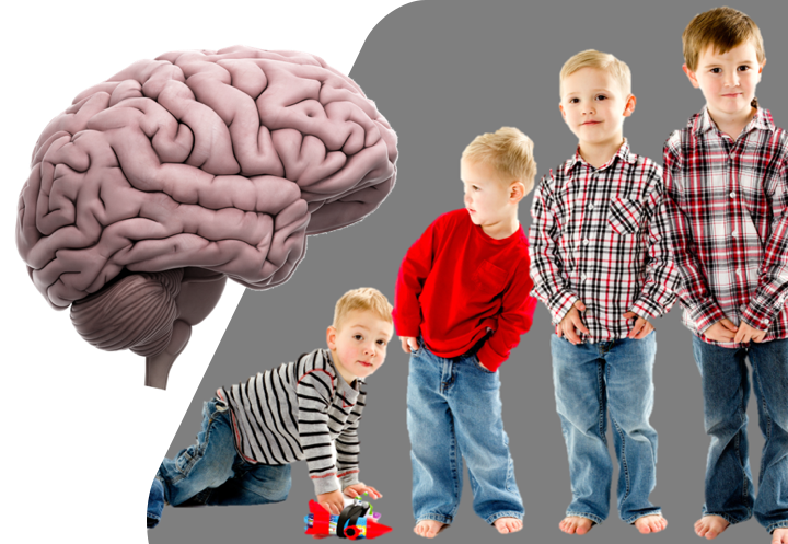 Structural and Dynamical Changes in The Developing Brain - Sapien Labs ...