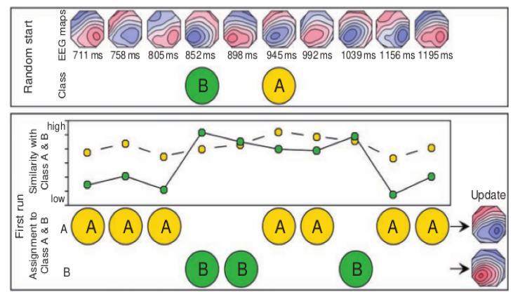 Finding EEG Microstate Classes with Clustering - Sapien Labs | Shaping ...