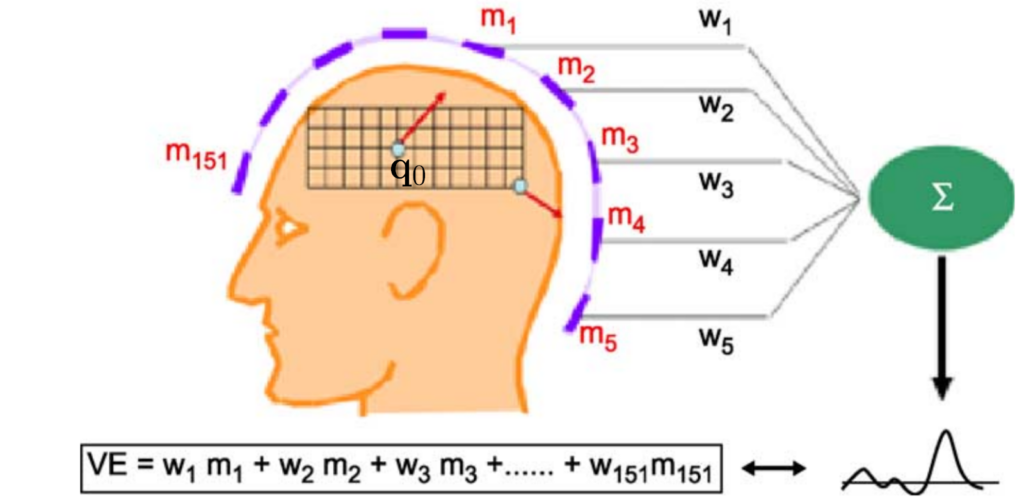Solving the EEG/MEG Inverse Problem with Beamformers - Sapien Labs ...
