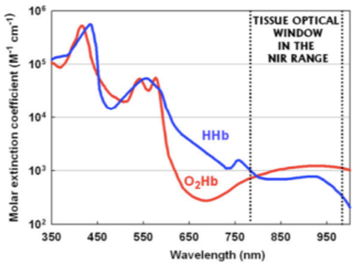 fNIRS: Advances and Challenges - Sapien Labs | Shaping the Future of ...