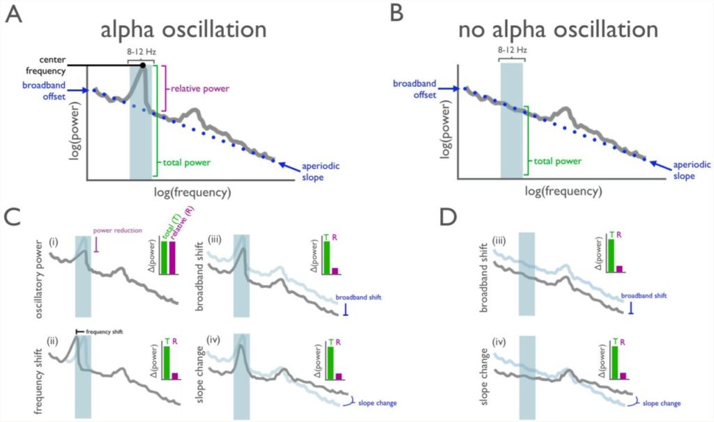 The Slope of the Power Spectrum: An important metric in EEG - Sapien ...