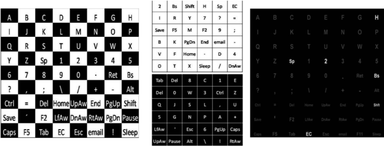 Implementations of the P300 BCI Speller - Sapien Labs | Shaping the ...