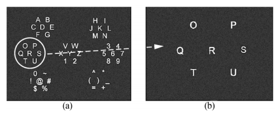 Implementations of the P300 BCI Speller - Sapien Labs | Shaping the Future of Mind Health