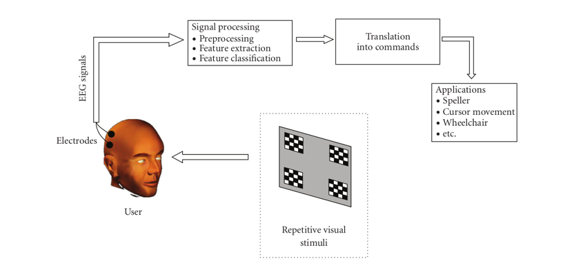 BCI Using Steady State Visual Evoked Potentials - Sapien Labs | Shaping ...