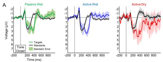 EEG Signal Quality in Wet Versus Dry Electrodes - Sapien Labs | Shaping ...