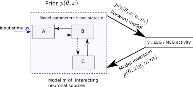 Dynamic Causal Modeling and the Application of Bayes Theorem - Sapien ...