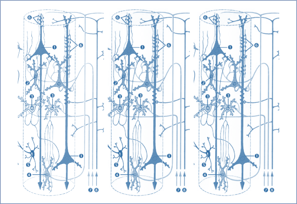 EEG Methods Archives - Sapien Labs | Neuroscience | Human Brain ...