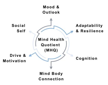 What is Mental Wellbeing? | Sapien Labs