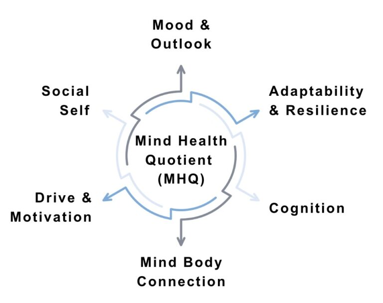 What is Mental Wellbeing? | Sapien Labs