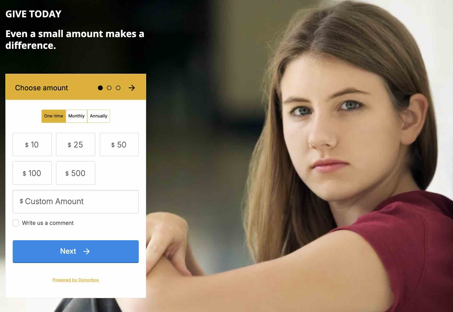 Donate Now | Sapien Labs
